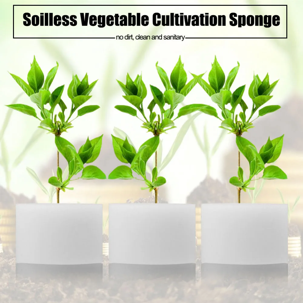 50pcs Soilless Hydroponic Sponges Transplanted Vegetable Cultivation ...