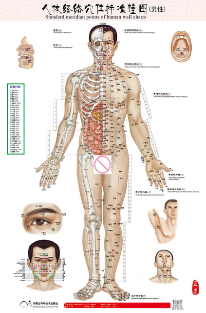 Chinese Acupuncture Points