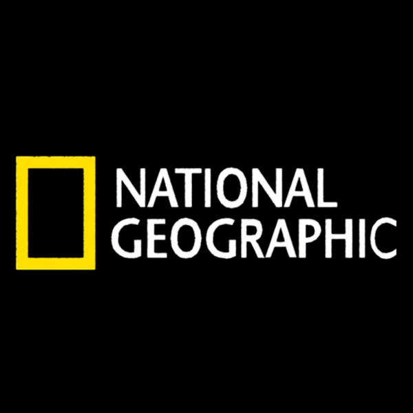 Car Stickers National Geographic Channel Creative Decals For Tail ...