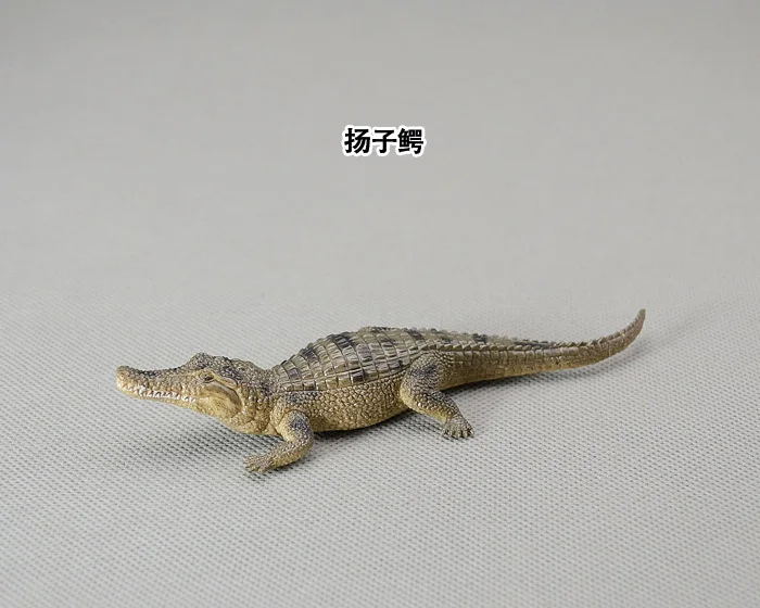 Solid Animal Model Toy Alligator Chinese Alligator Ornaments ...