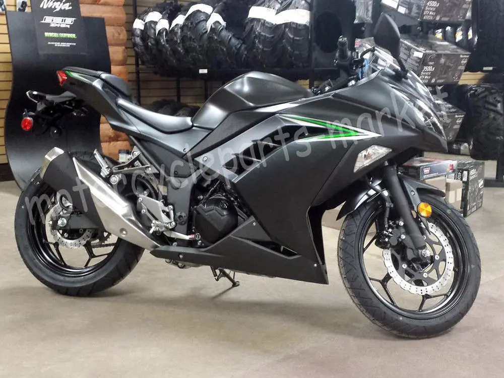 Kawasaki Ninja 300 Grey