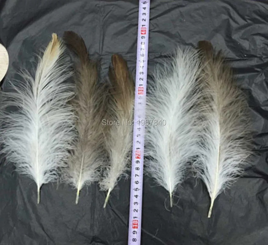 10-pieces-lot-of-beautiful-natural-hawk-feathers-10-15-cm-4-6-inches ...