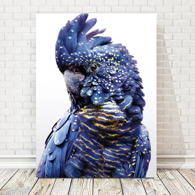 Modern Australian Parrot Print Black Cockatoo Canvas Wall Art Bird Navy ...