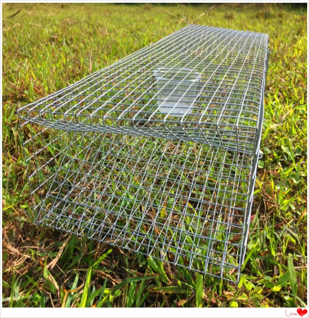 Low Price Best Sell Snake trap/boa trap /python trap/cobra trap ...