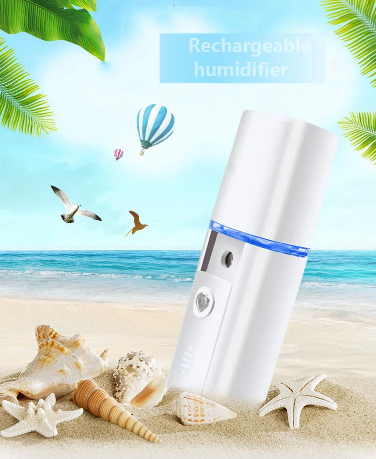 Rechargeable Cold Sprayer Humidifier, Home Face Steaming Device Beauty ...