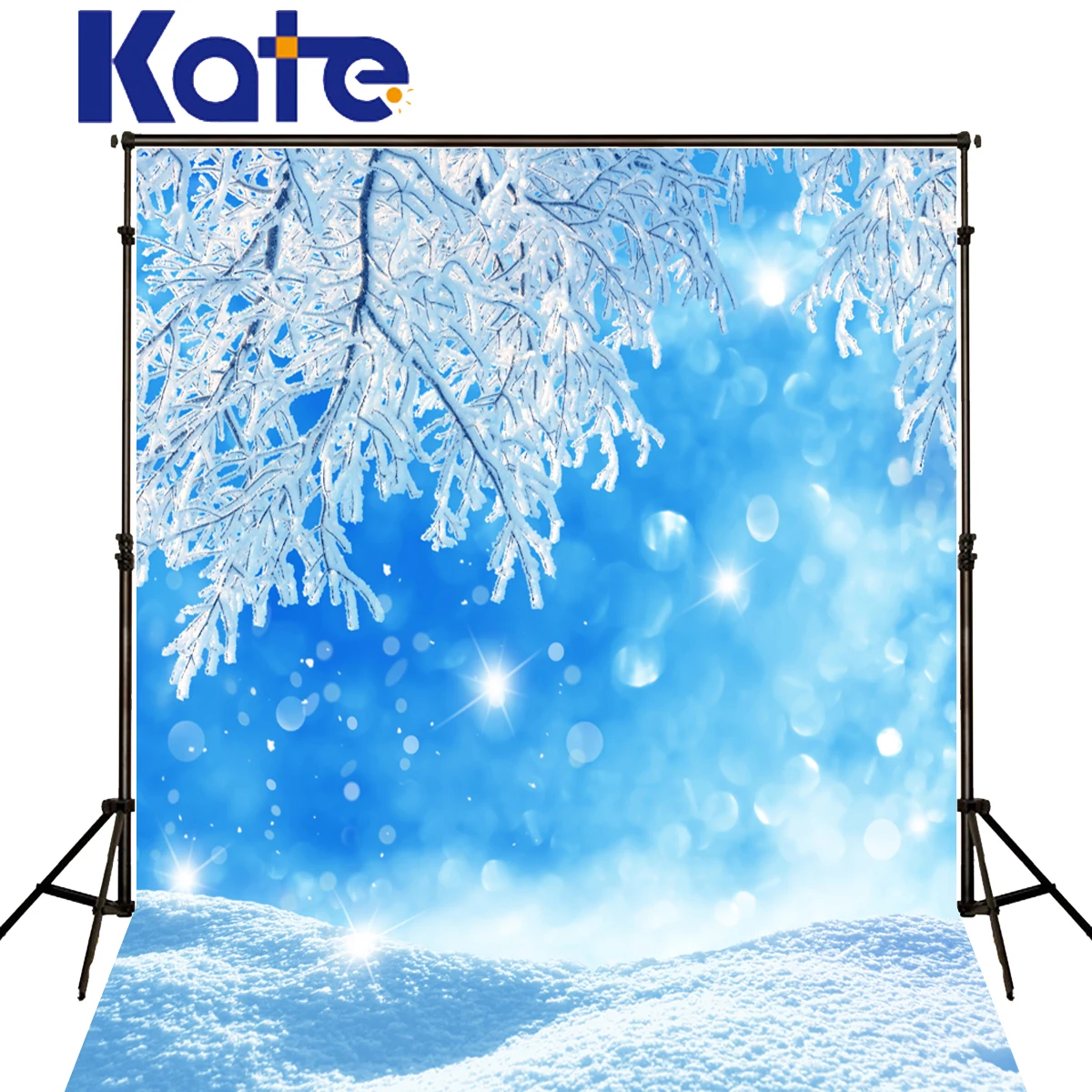 Winter Trees Light Dream Backdrops Snow Land The Background For Wedding ...