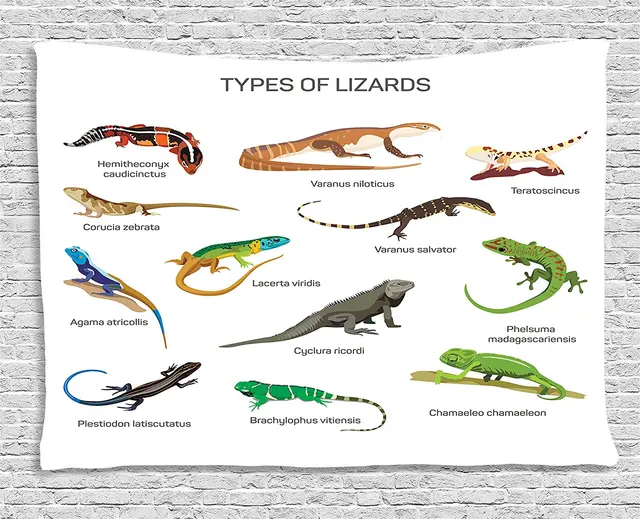 Reptile Decor Tapestry Lizard Family Design on Plain Background ...