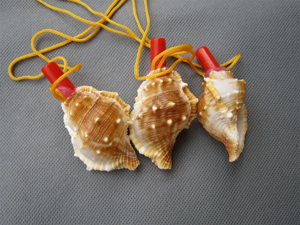 Buy two get one natural conch shell horn conch conch horn whistle ...