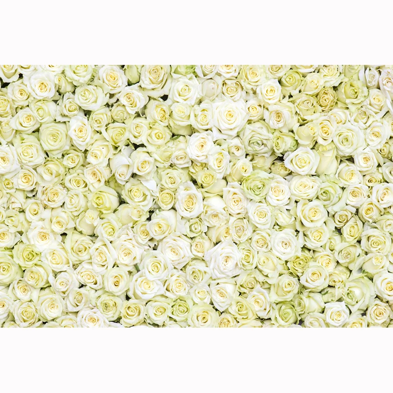 HUAYI-White-Rose-Blooming-Flower-Wall-Backdrops-For-Bridal-Shower ...