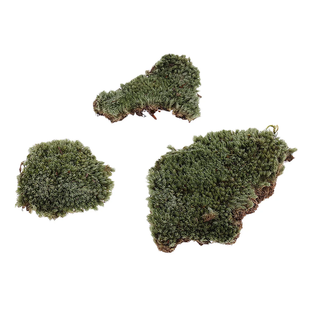 1-35-Sand-Table-Armor-Military-Building-Lichen-Moss-Ground-Grass-Lawn ...