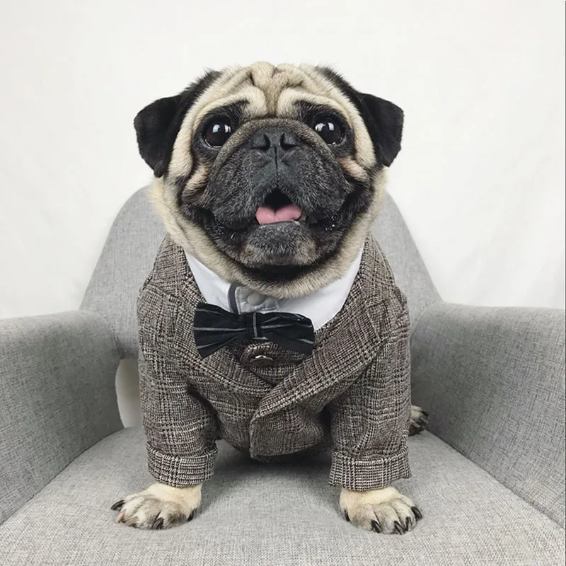 Ropa-Formal-para-perros-traje-de-boda-para-mascotas-suministros-para ...