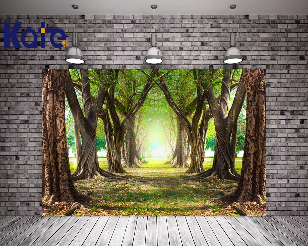 Kate Forest Photo Studio Backdrop Root Avenue Scenic Photography ...