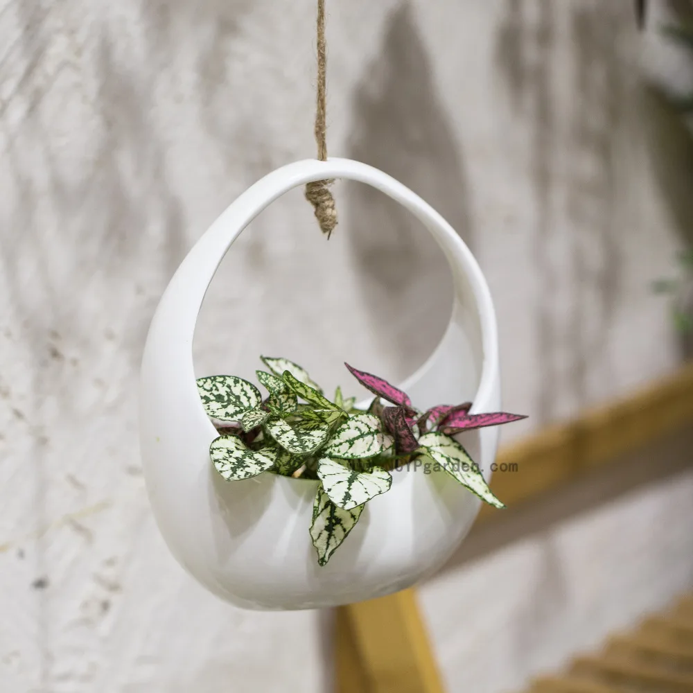 Small White Round Hanging Ceramic Flower Pot Basket Vertical Garden ...
