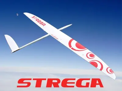 RCRCM Strega,fiberglass rc gliders,wingspan 2.9m,six color selectable ...