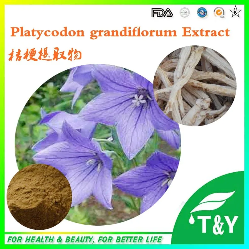 balloon-flower-root-extract-platycodon-grandiflorum-extract-powder-4-1 ...