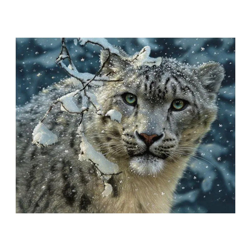Diamond Embroidery 5D DIY Diamond Painting Snow Leopard Animal Diamond ...