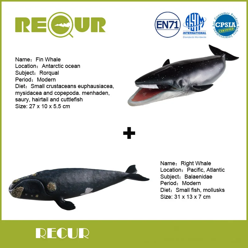 2 pcs Recur Toys Fin whale High Simulate Right whale Hand Painted Soft ...