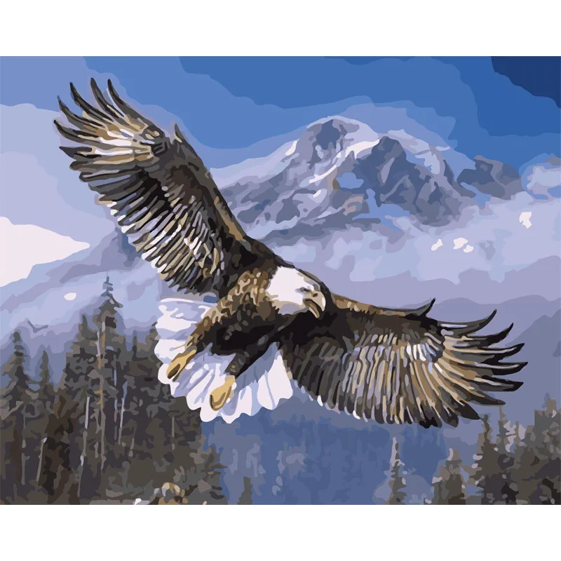 Eagle flying Diy painting by numbers hand painted canvas oil paintings ...