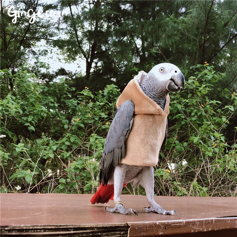 Gingerain Bird Clothes Parrot Fleeting Time Original Hand-made Custom ...