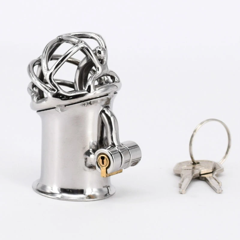 Extreme Confinement Chastity Cage Penis Piercing Stainless Steel PA ...