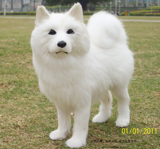 simulation animal 17x6x15 cm Samoyed dog plush toy Christmas gift k0958 ...
