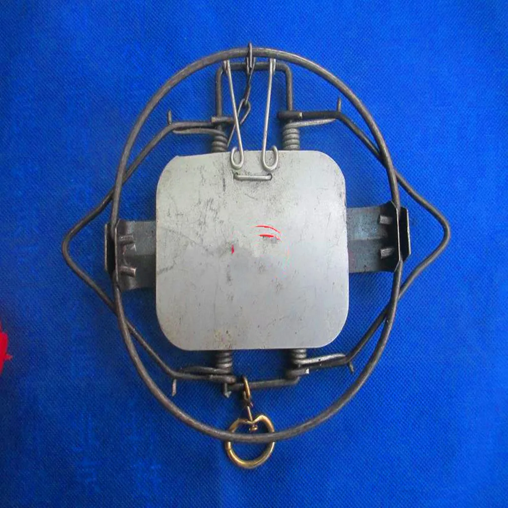 Best Coil Spring Traps