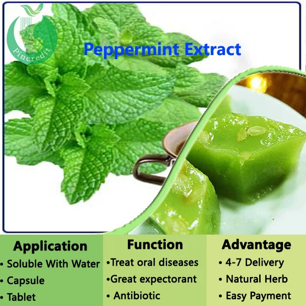 Food supplement mentha arvensis extract herba menthae heplocalycis ...