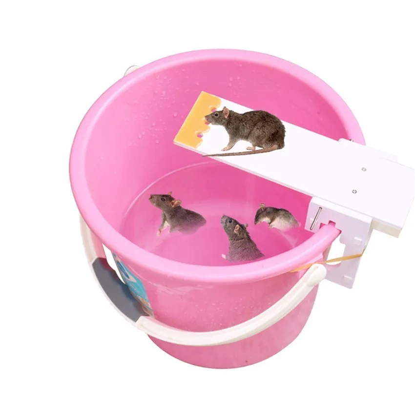 New Mouse Trap Auto Reset No Kill No Poison Traps Plank Seesaw Bait ...