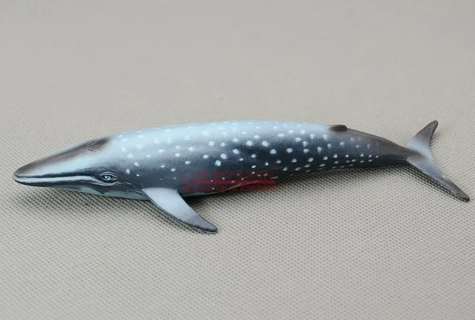 Online Buy Wholesale whale shark toy from China whale shark toy ...