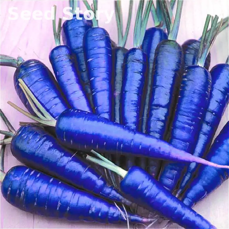 50 plants/pack Carrot Blue Yellow Radish plants Vegetables Plants Garden Men Loseweight Health ...