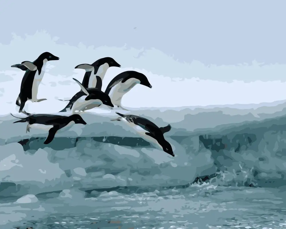 MaHuaf-j486-Pygoscelis-adeliae-painting-by-numbers-cuadros-decoracion ...