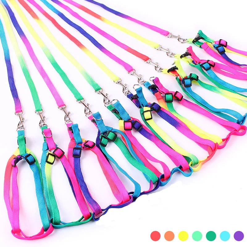 Adjustable Rainbow color Pet Dog Leash Small Puppy Cat Nylon Traction ...