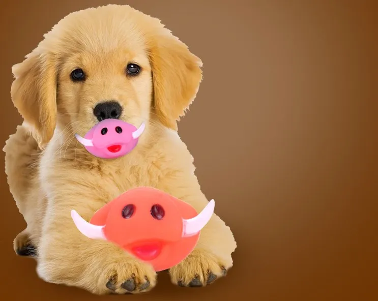 2017 Adore Pet Dog Training chew Sound Activity Toy Puppy Play Toys for ...