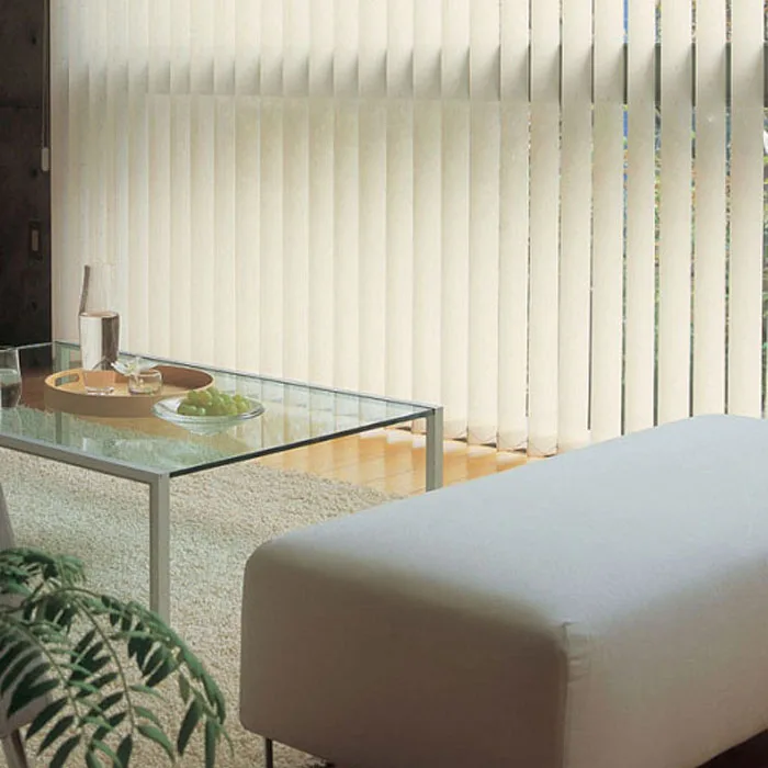 Curtains With Vertical Blinds