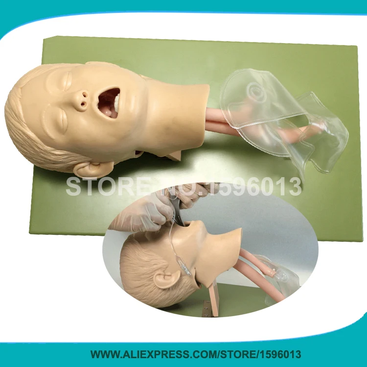 Child-Intubation-Model-Tracheal-Intubation-Trainer.jpg