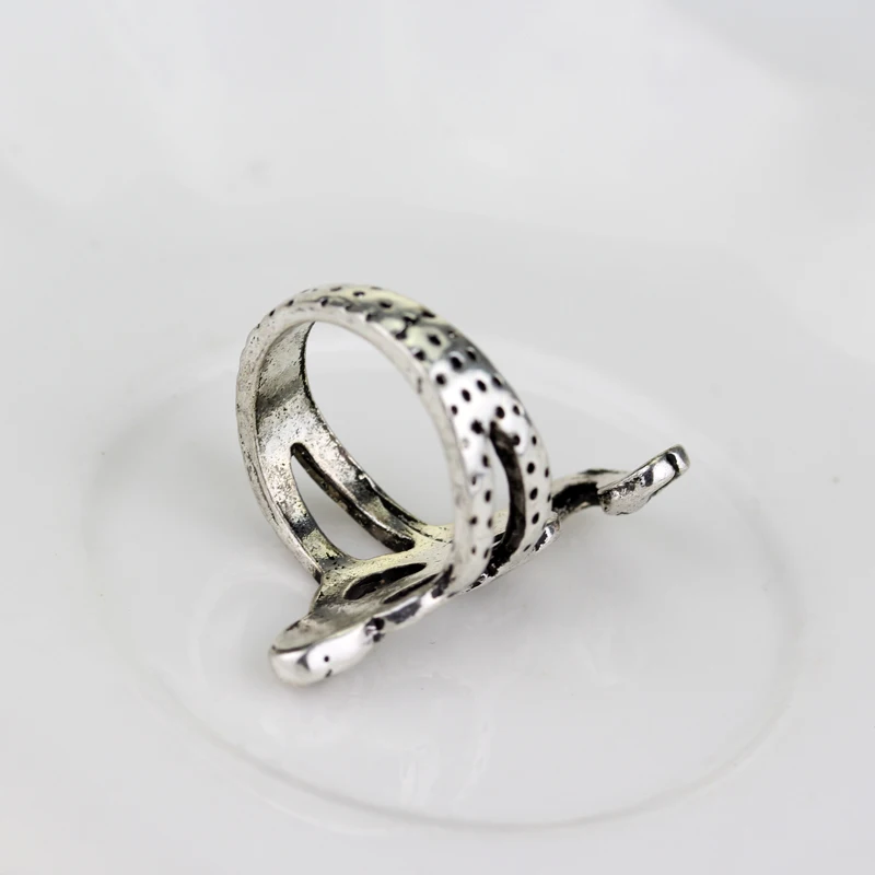 HANCHNAG Nagini Slytherin Vintage Silver Ring Horcrux Voldemort Death ...