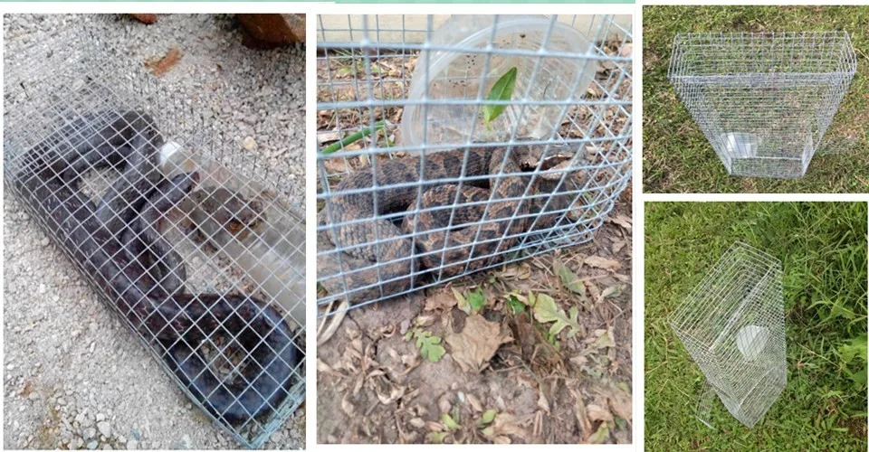 GreenGarden Animail Trap Store - Small Orders Online Store, Hot Selling ...