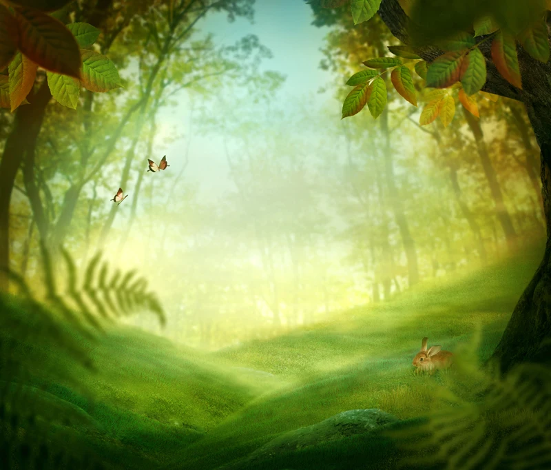fairy photography backdrop photo background photography backdrops XT ...