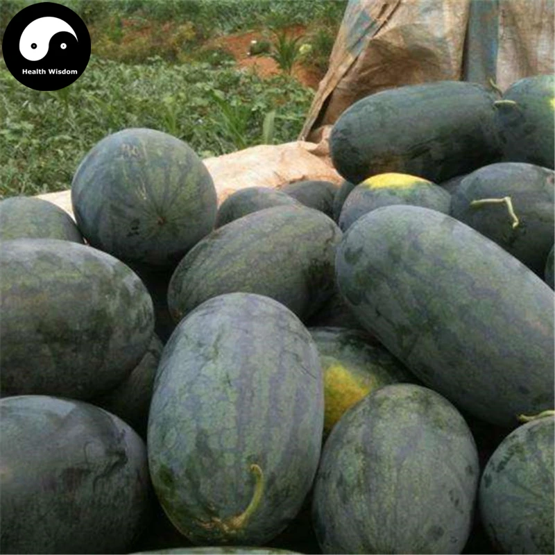 Buy Watermelon Fruit Semente 200pcs Plant Citrullus Lanatus Black ...