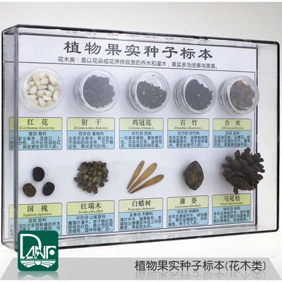 Specimen-of-plant-fruit-and-seeds-Ten-kinds-of-Flowers-and-trees ...