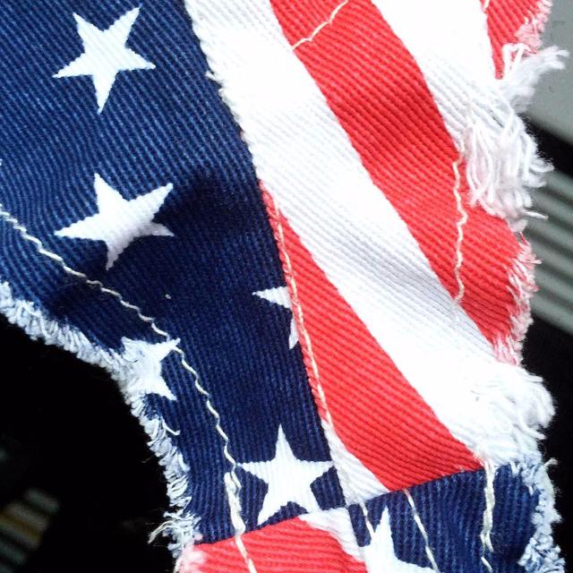 FREE SHIPPING New Sexy Women's Low Waist Daisy Duke Ripped Denim Shorts ...