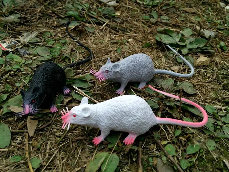 3pcs-set-Simulation-PVC-Plastic-wild-animals-toys-for-kids-simulation ...