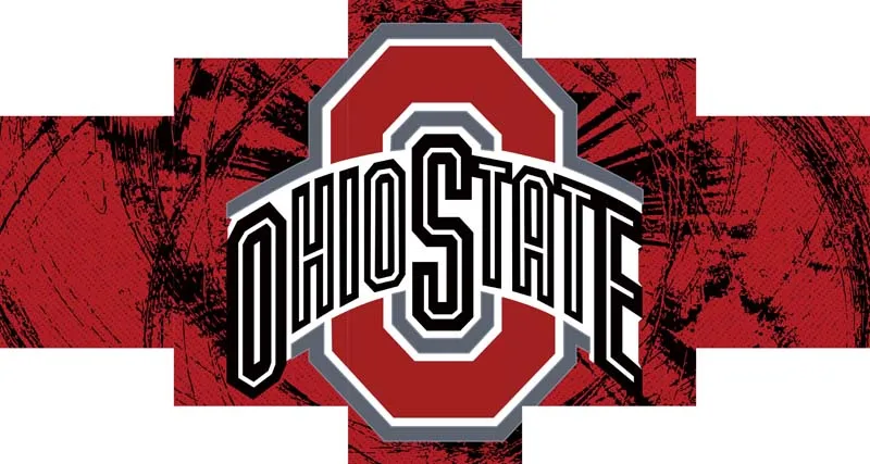 Ohio State Letter mark Logo Ptint Painting Canvas For Living Room 5 ...