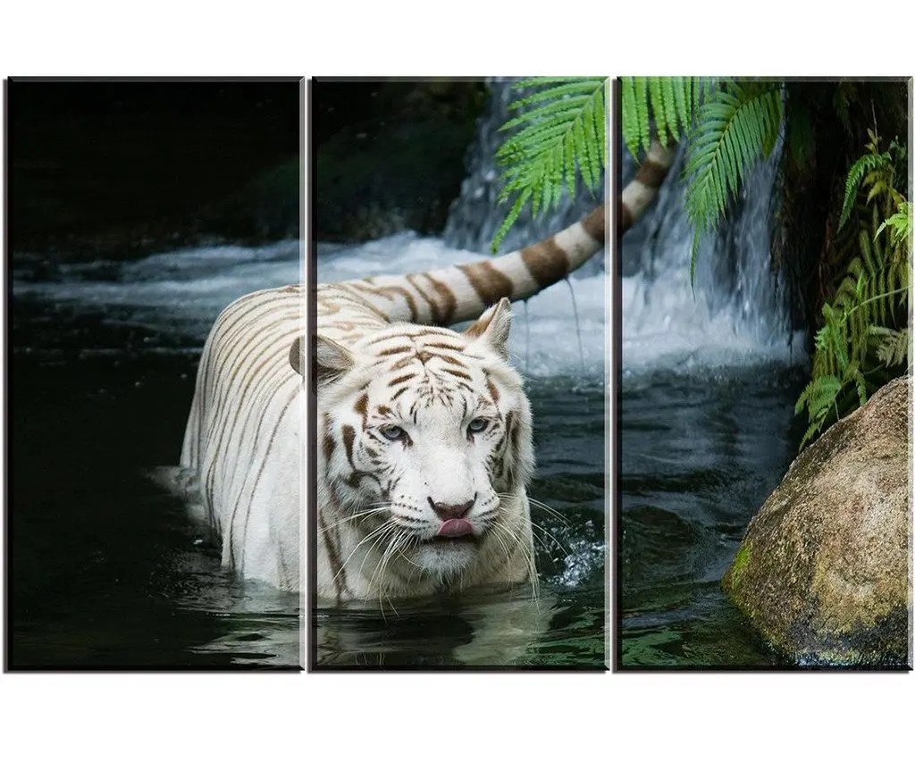 3 panels White Tiger in the Lake Art Pictures Large Modern Home Wall ...
