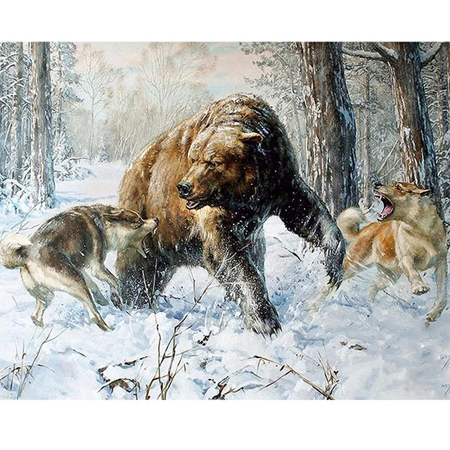 Wolf Vs Bear Fight