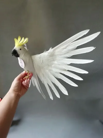 white real life wings parrot model foam&feather bird gift about 30x50cm ...