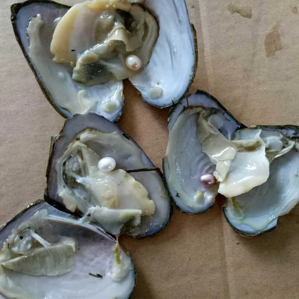 Freshwater Clam Pearls