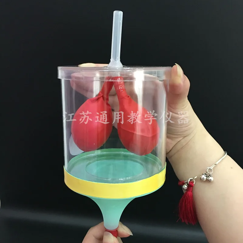 manual Diaphragm motion simulatorbiological instrument teaching model ...