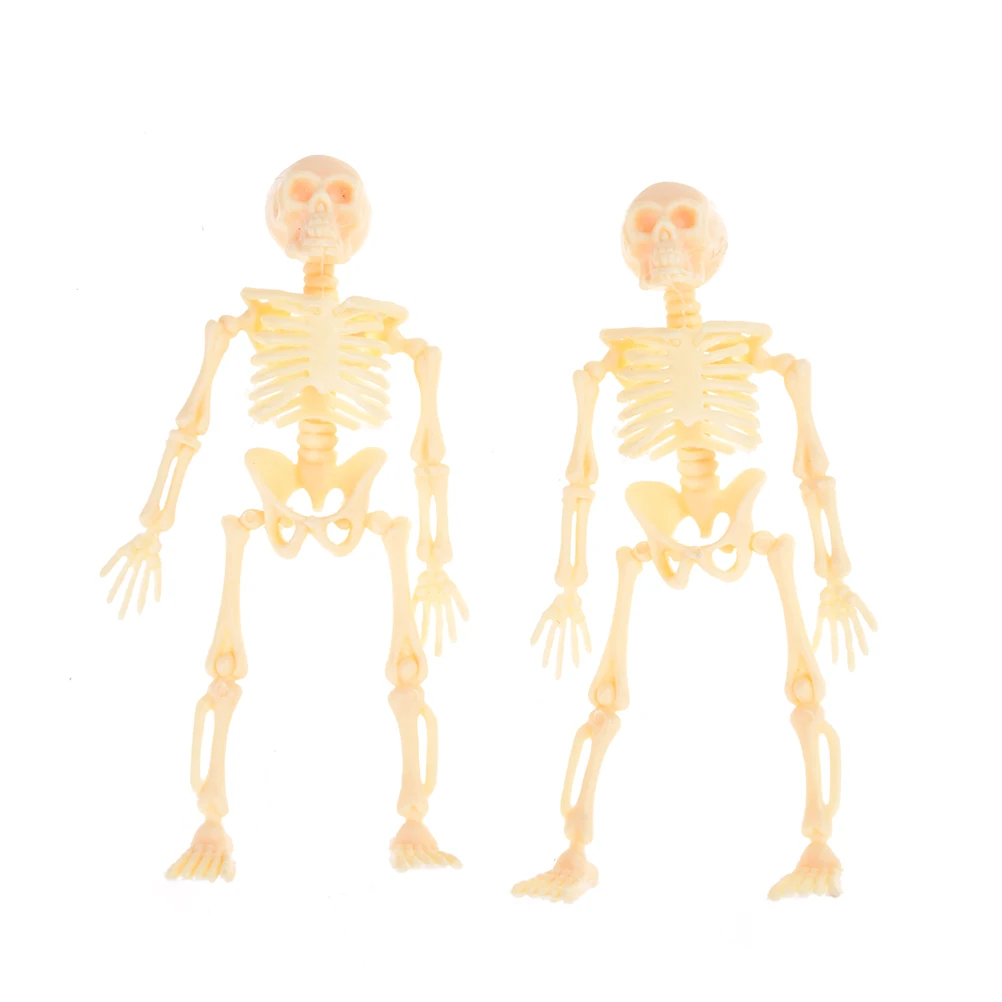 1pc Skeleton Movable Mr. Bones Skeleton Human Model Skull Full Body ...