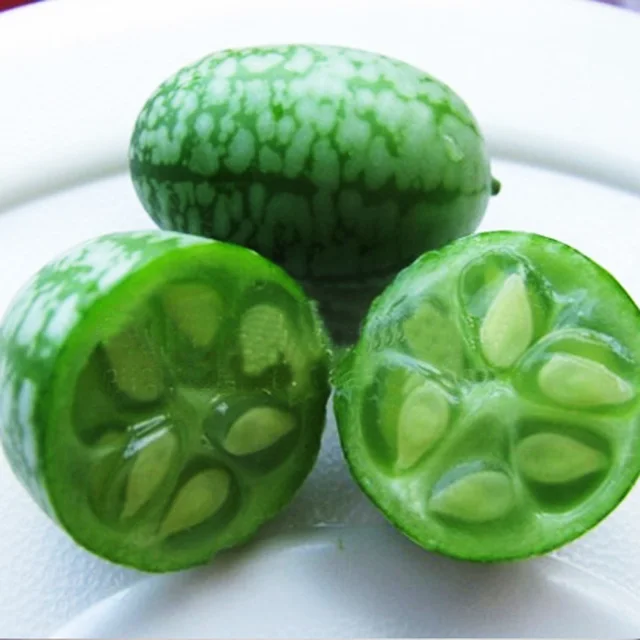 30pcs Seeds very rare Mini watermelon – GreenSeedGarden